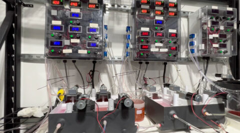 NioCorp Rare Earth Demonstration Plant Showing Positive Rare Earth ...
